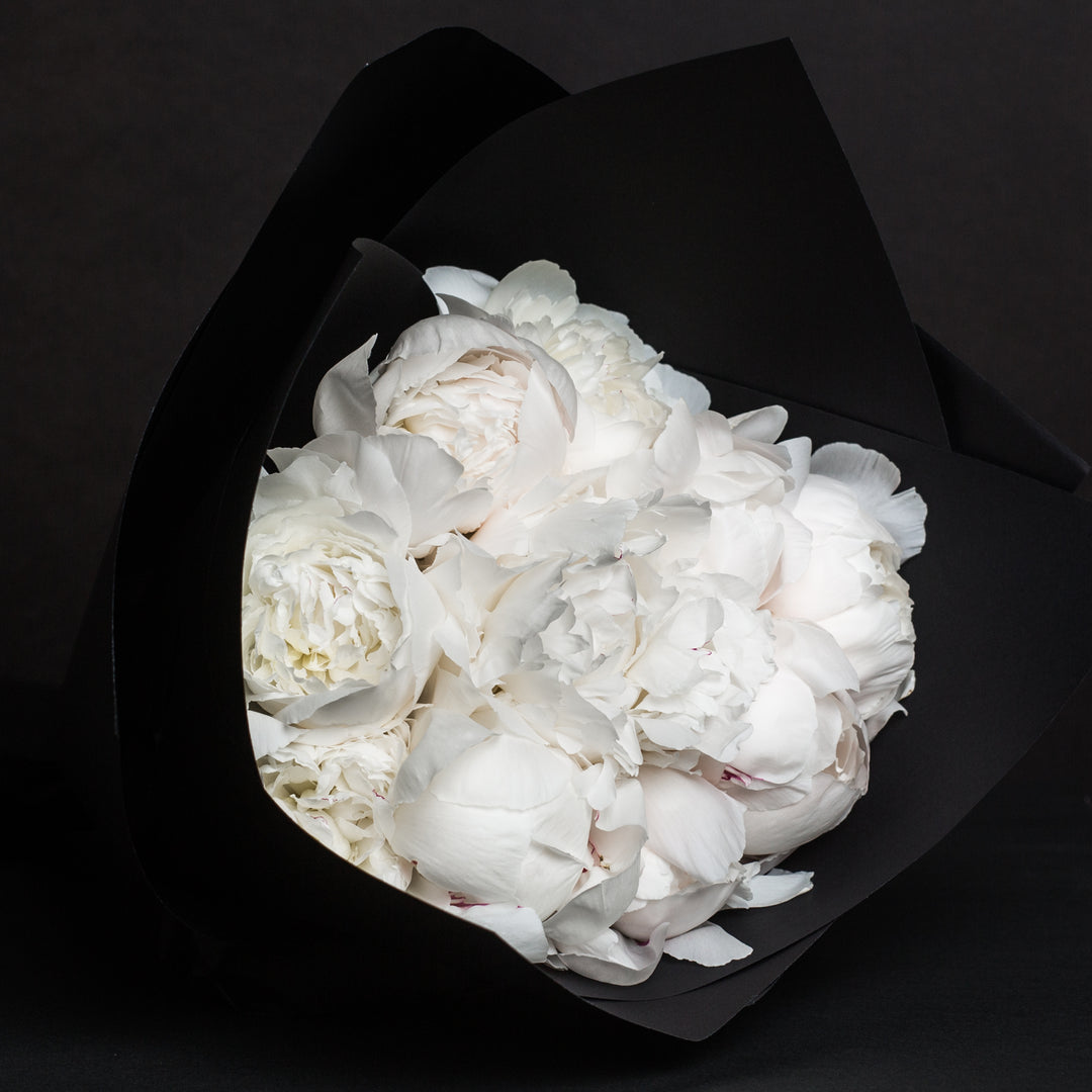 White Peony Wrap | Maison Fleur Floral Design | Brisbane
